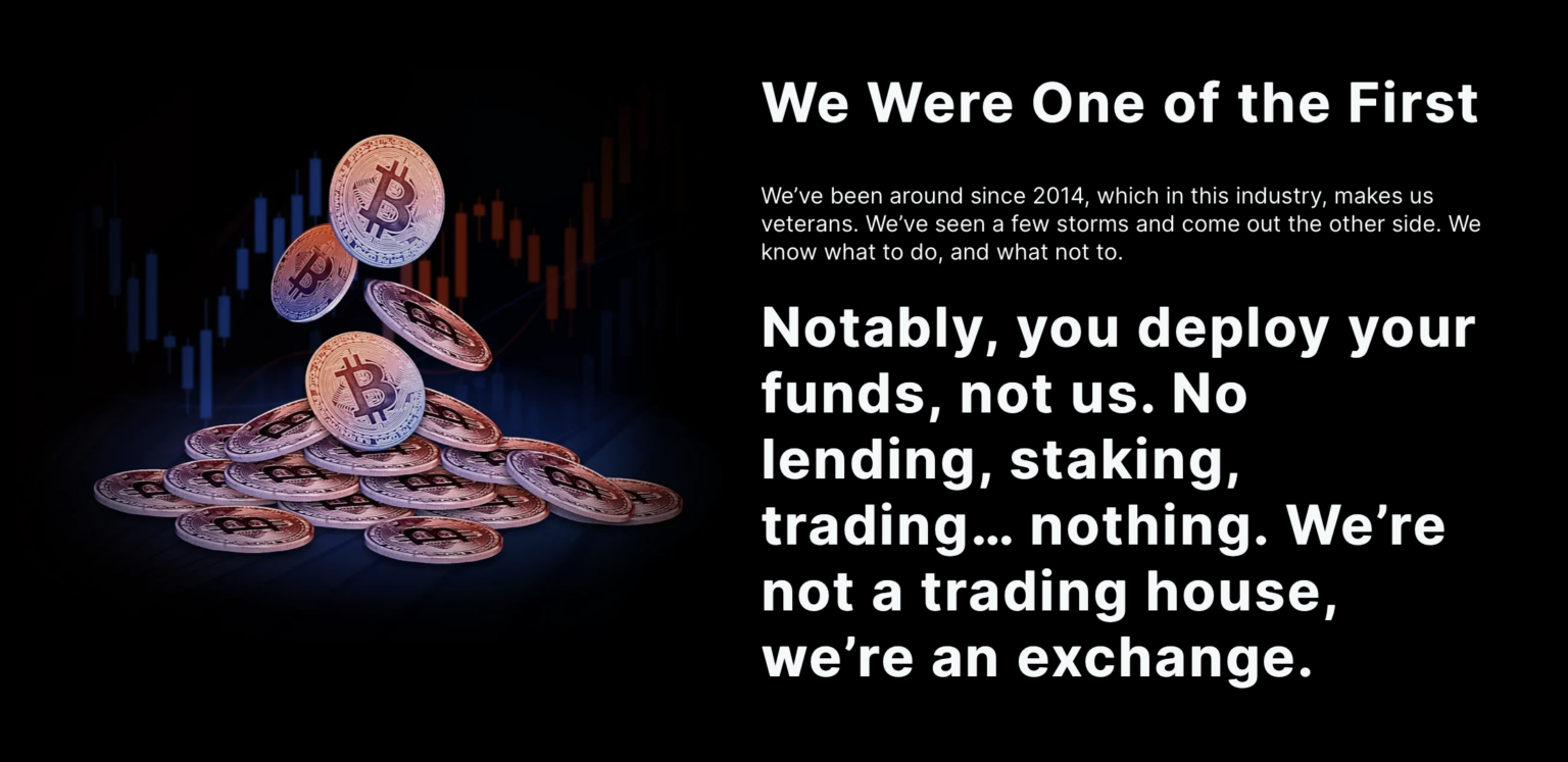 15+ BitMEX Signals on Telegram 2025