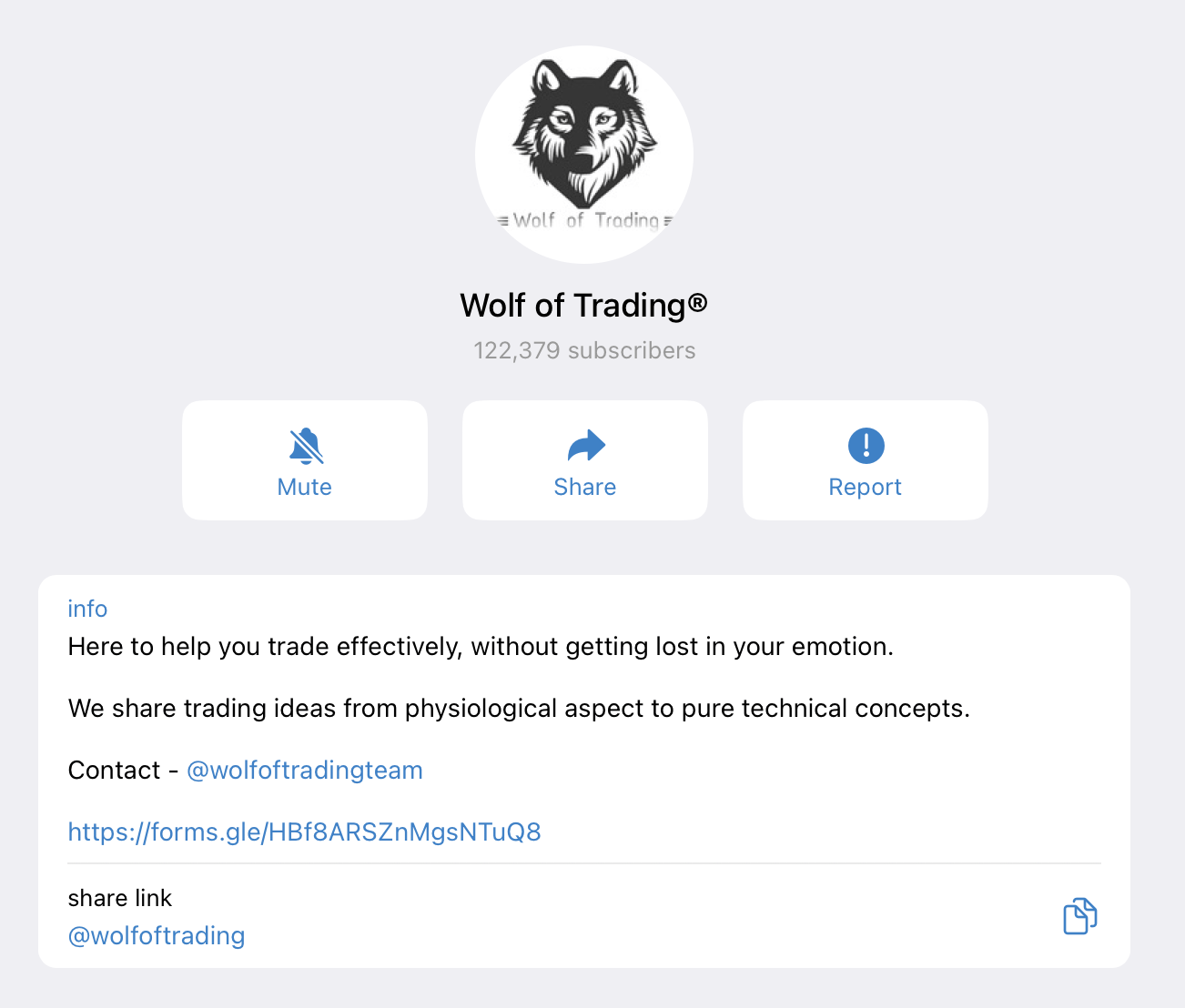 Wolf of Trading Review November 2025
